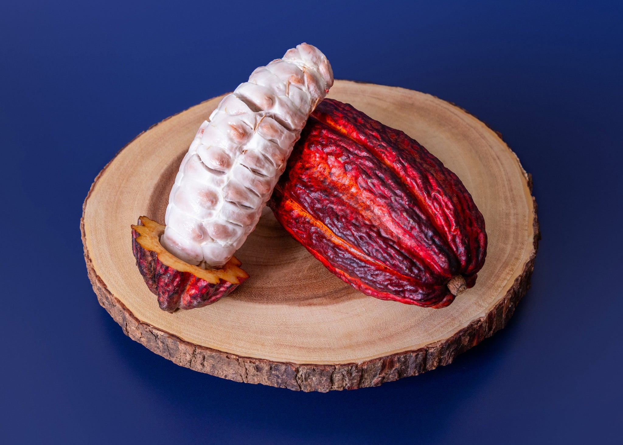 Fresh Cacao Pods – The Finest Exotics